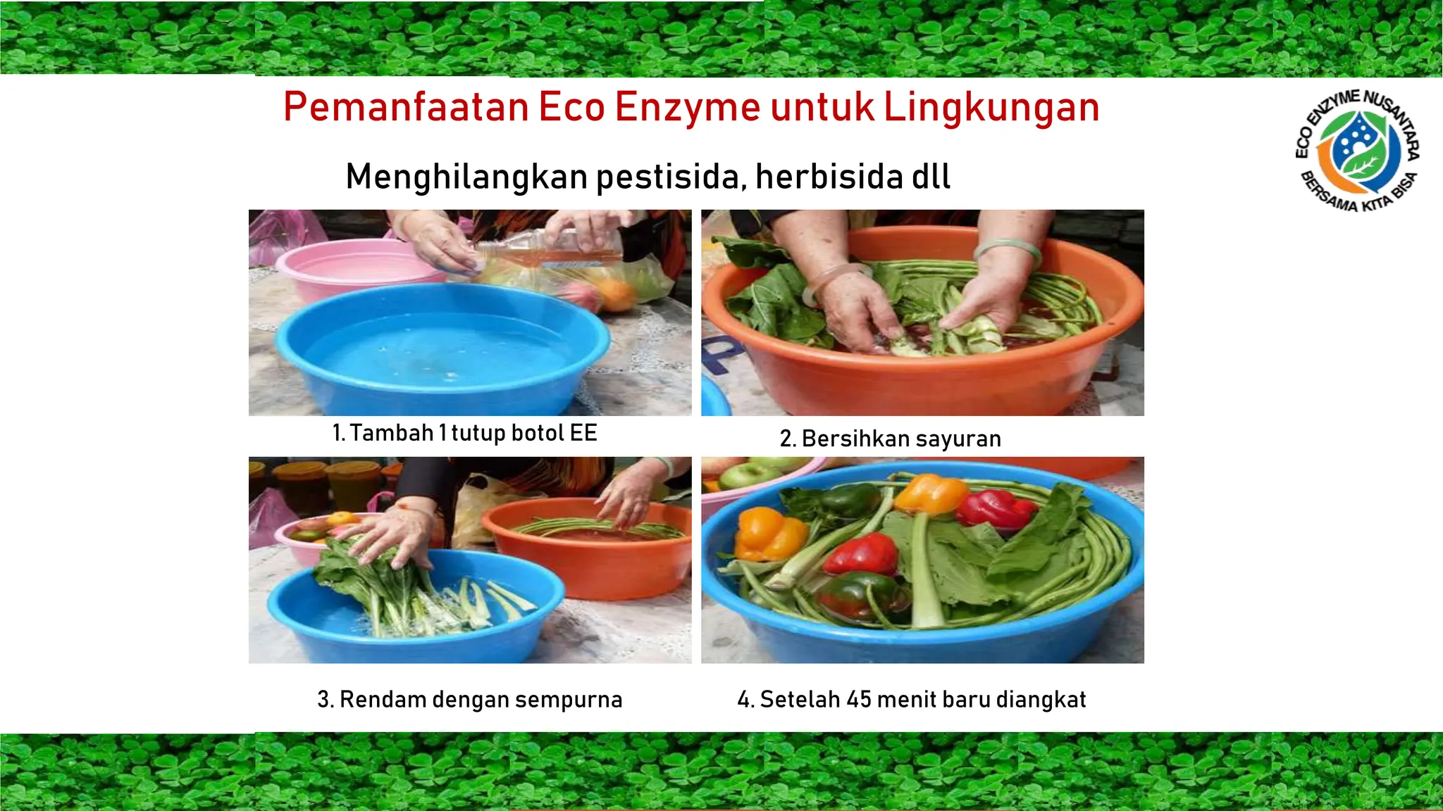 Pengertian Eco Enzyme, Manfaat, dan Cara Membuatnya | PPT