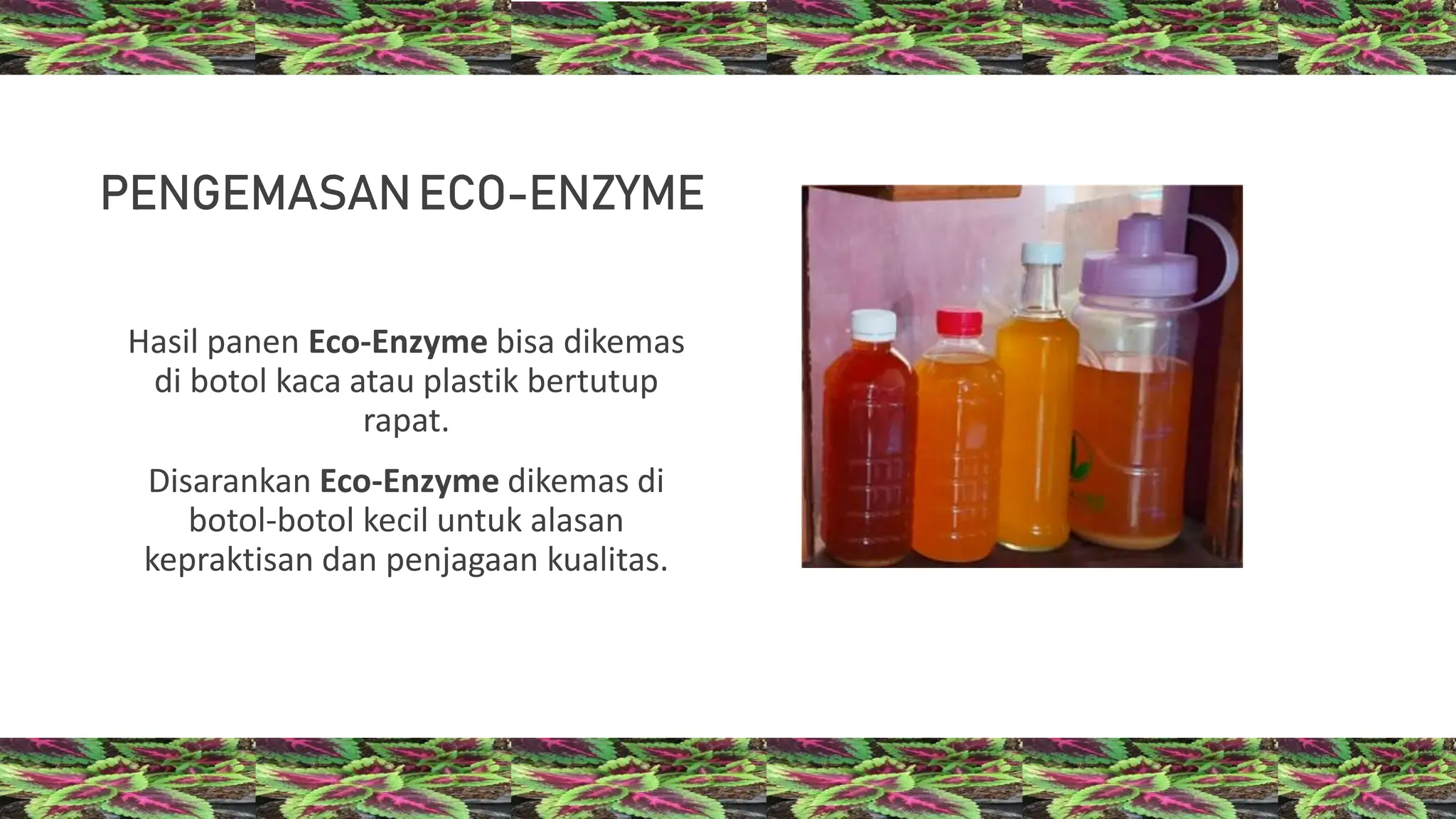 Pengertian Eco Enzyme, Manfaat, dan Cara Membuatnya | PPT