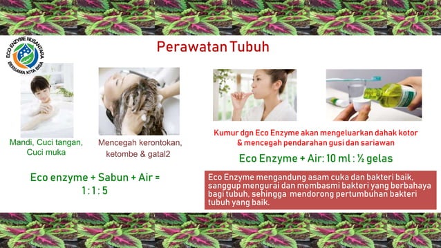 Pengertian Eco Enzyme, Manfaat, dan Cara Membuatnya | PPT