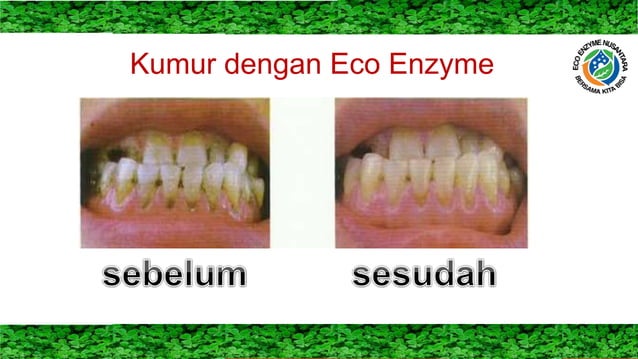 Pengertian Eco Enzyme, Manfaat, dan Cara Membuatnya | PPT