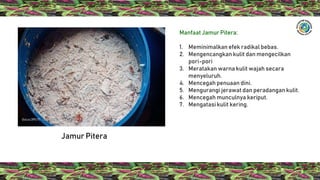Pengertian Eco Enzyme, Manfaat, dan Cara Membuatnya | PPT