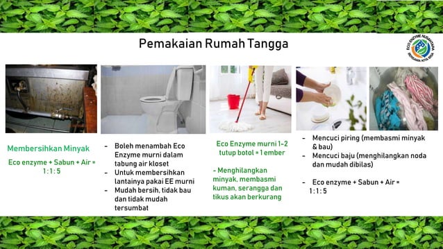 Pengertian Eco Enzyme, Manfaat, dan Cara Membuatnya | PPT