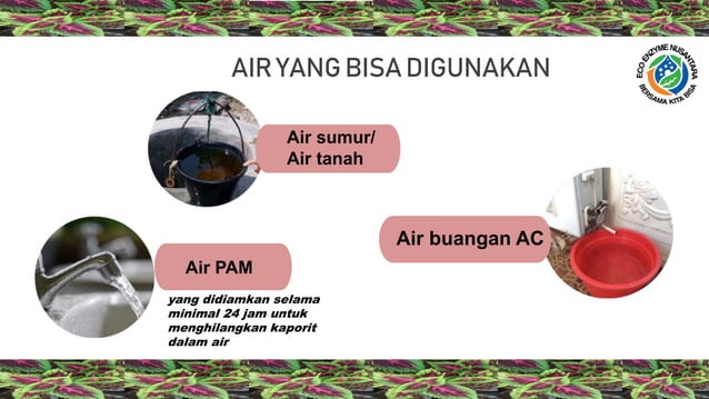 Pengertian Eco Enzyme, Manfaat, dan Cara Membuatnya | PPT