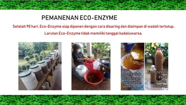 Pengertian Eco Enzyme, Manfaat, dan Cara Membuatnya | PPT