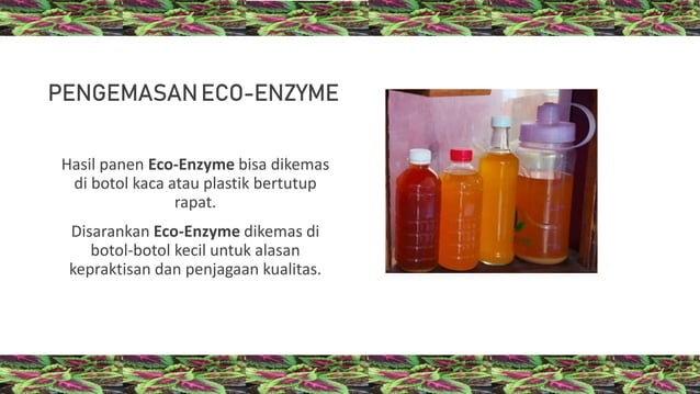 Pengertian Eco Enzyme, Manfaat, dan Cara Membuatnya | PPT