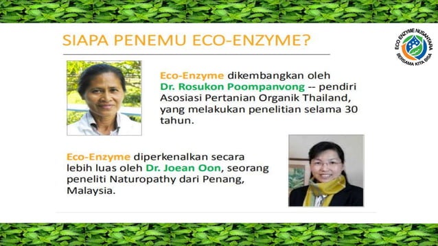 Pengertian Eco Enzyme, Manfaat, dan Cara Membuatnya | PPT