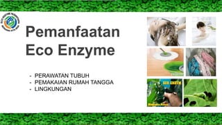 Pengertian Eco Enzyme, Manfaat, dan Cara Membuatnya | PPT