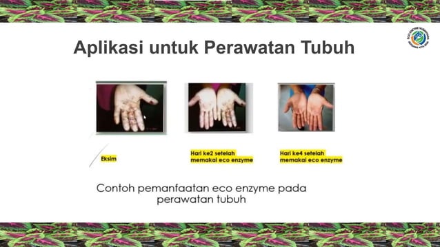 Pengertian Eco Enzyme, Manfaat, dan Cara Membuatnya | PPT