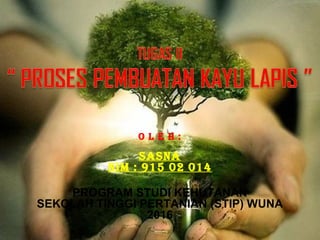 Pembuatan kayu lapis | PPT
