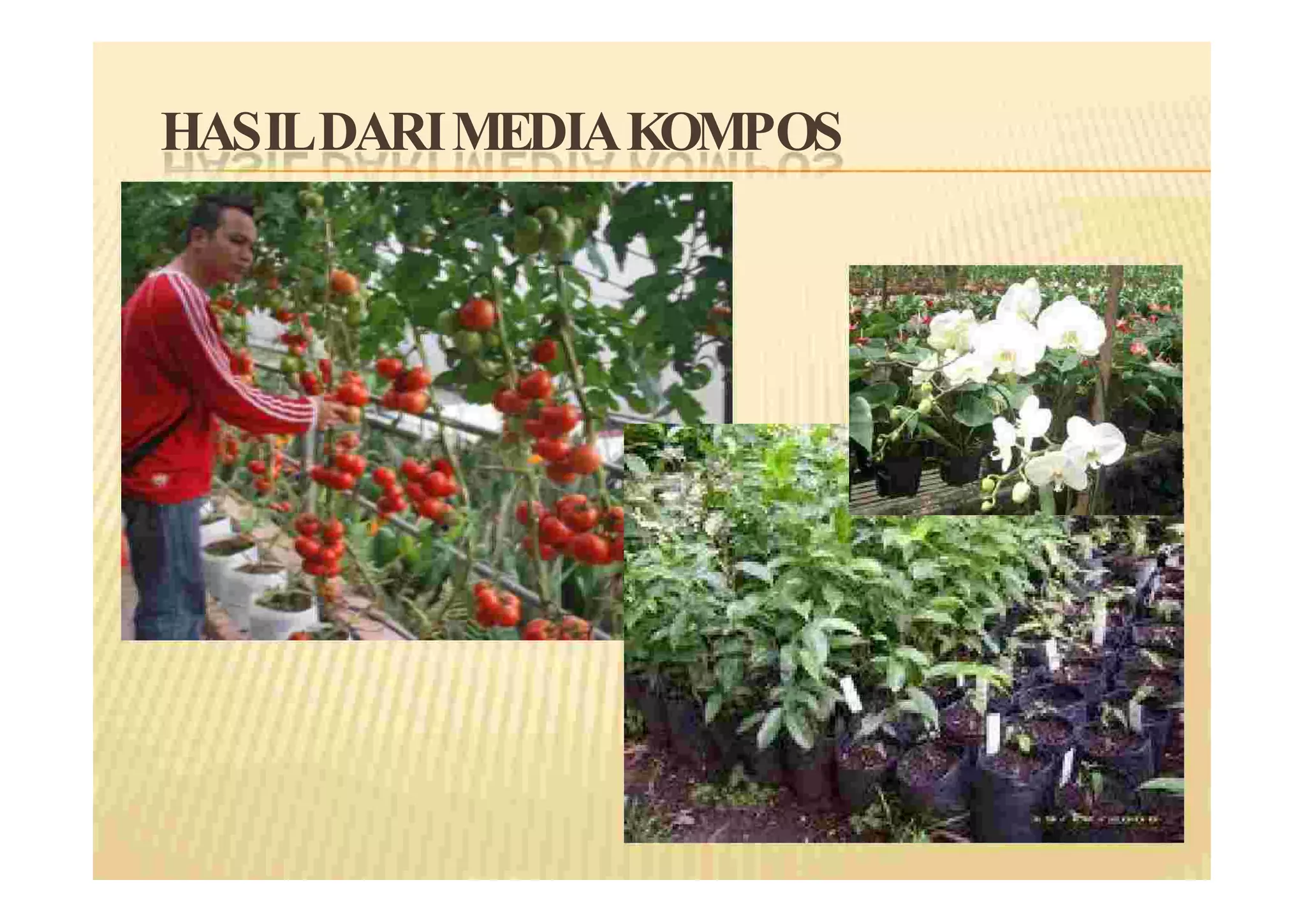 Pembuatan konpos | PDF