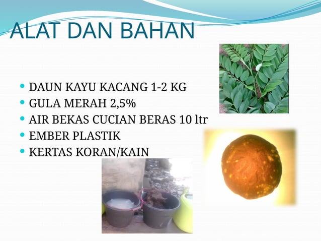 PEMBUATAN MOL daun kayu kacang atau daun gamal.pptx