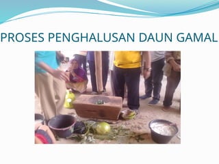 PEMBUATAN MOL daun kayu kacang atau daun gamal.pptx