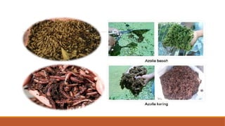 PEMBUATAN PAKAN MANDIRI SEDERHANA BAGI PEMBUDIDAYA | PPT