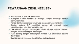 PEMBUATAN BTA DALAM PEMERIKSAAN ZHIELS N | PPTX