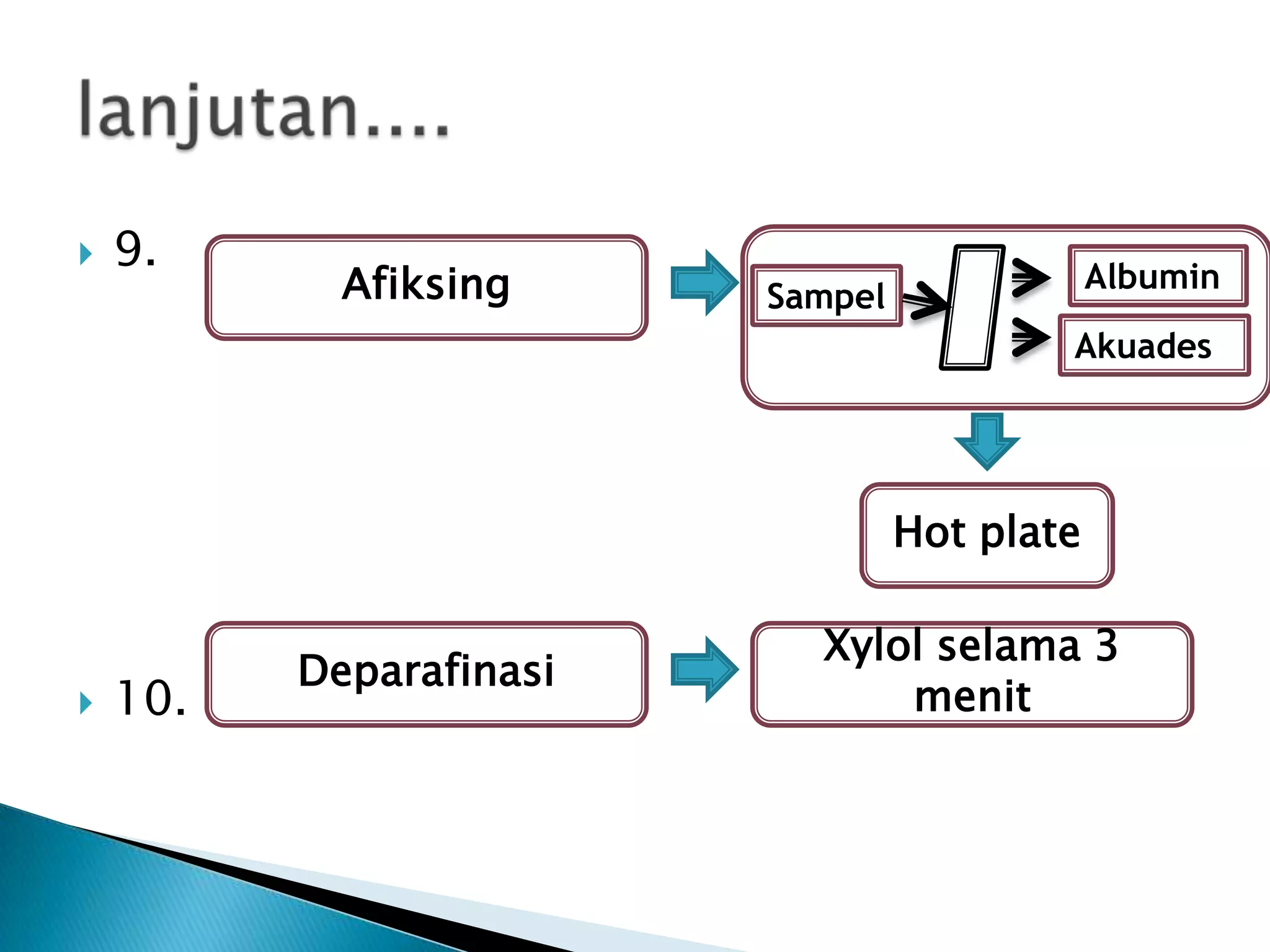 Pembuatan preparat sayatan lambung puyuh jantan irwin septian | PPTX