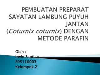 Pembuatan preparat sayatan lambung puyuh jantan irwin septian | PPT