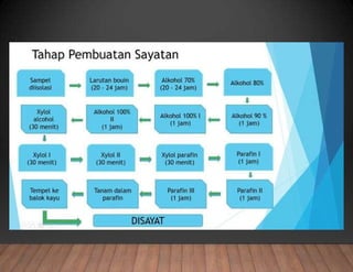 PEMBUATAN SEDIAAN AWETAN HISTOLOGI (MIKROTEKNIK).ppt