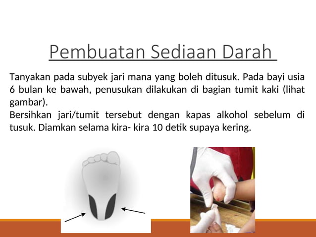 Pembuatan Sediaan Darah MalariaLABORATORIUM MALARIA | PPT