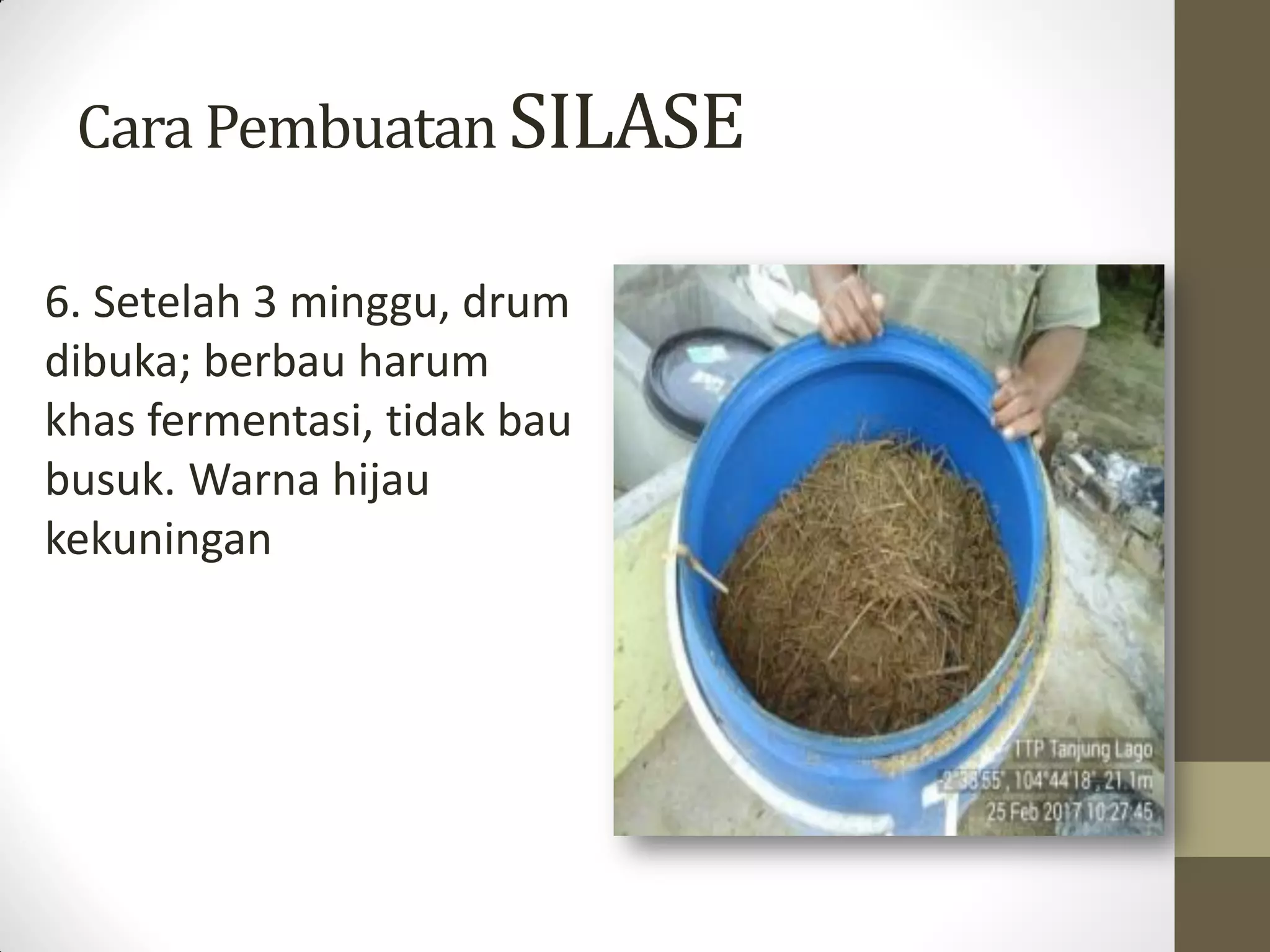 Pembuatan silase | PDF