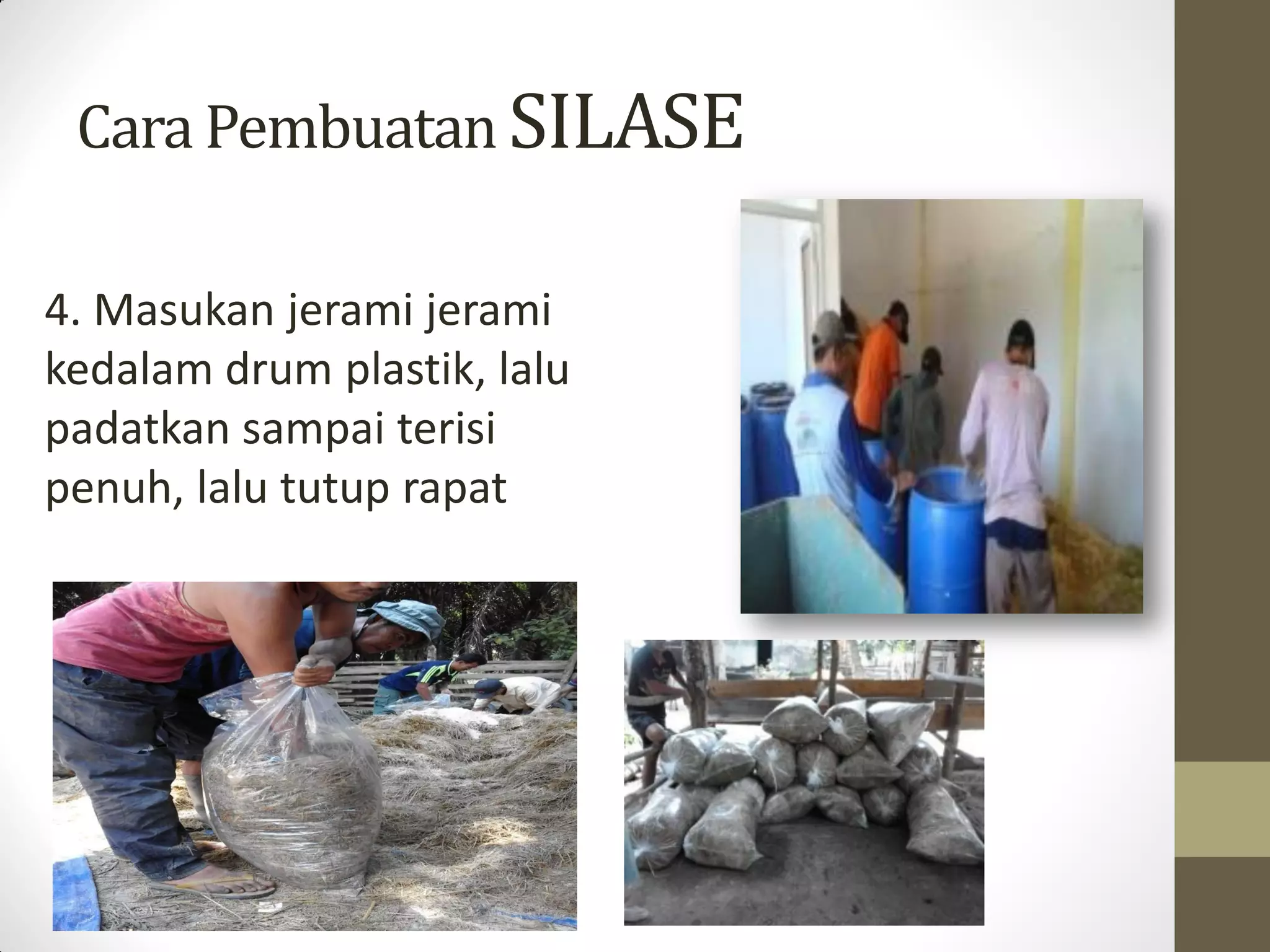 Pembuatan silase | PDF