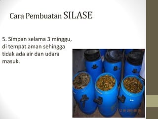 Pembuatan silase | PDF