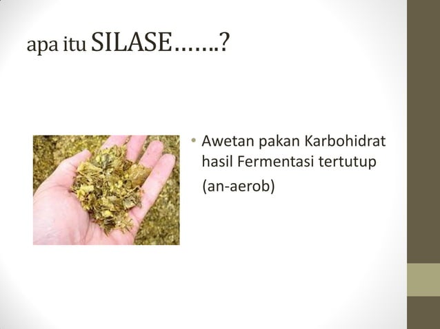 Pembuatan silase | PDF