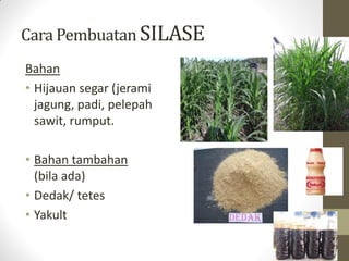 Pembuatan silase | PDF