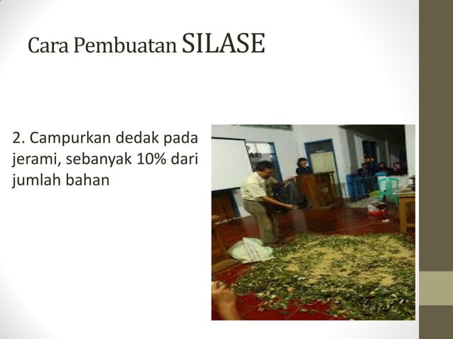 Pembuatan silase | PDF