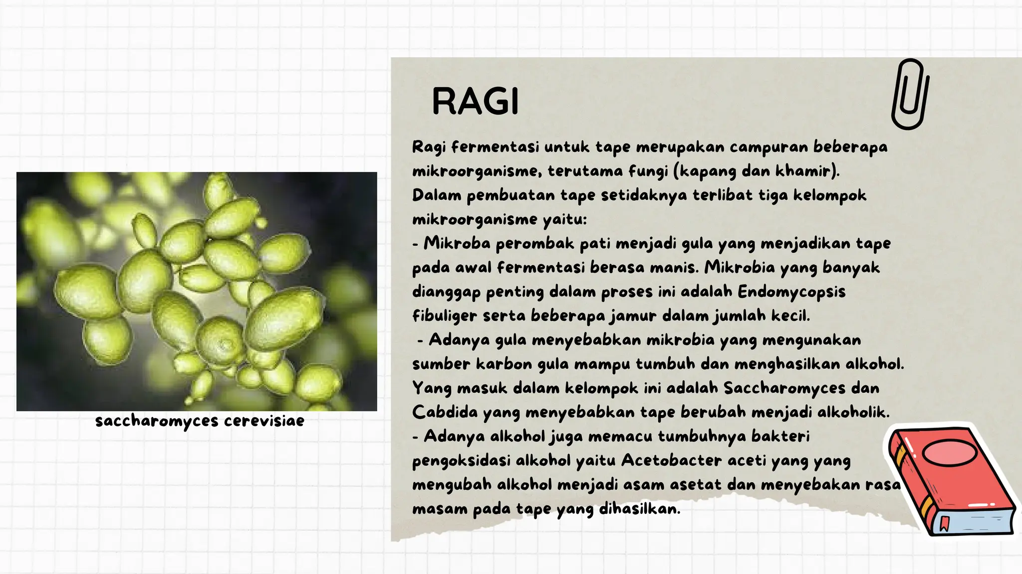 PEMBUATAN TAPAI dan TUMBUHAN TRANSGENIK.pdf