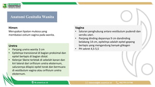 Pemeliharaan Genitalia.pptx