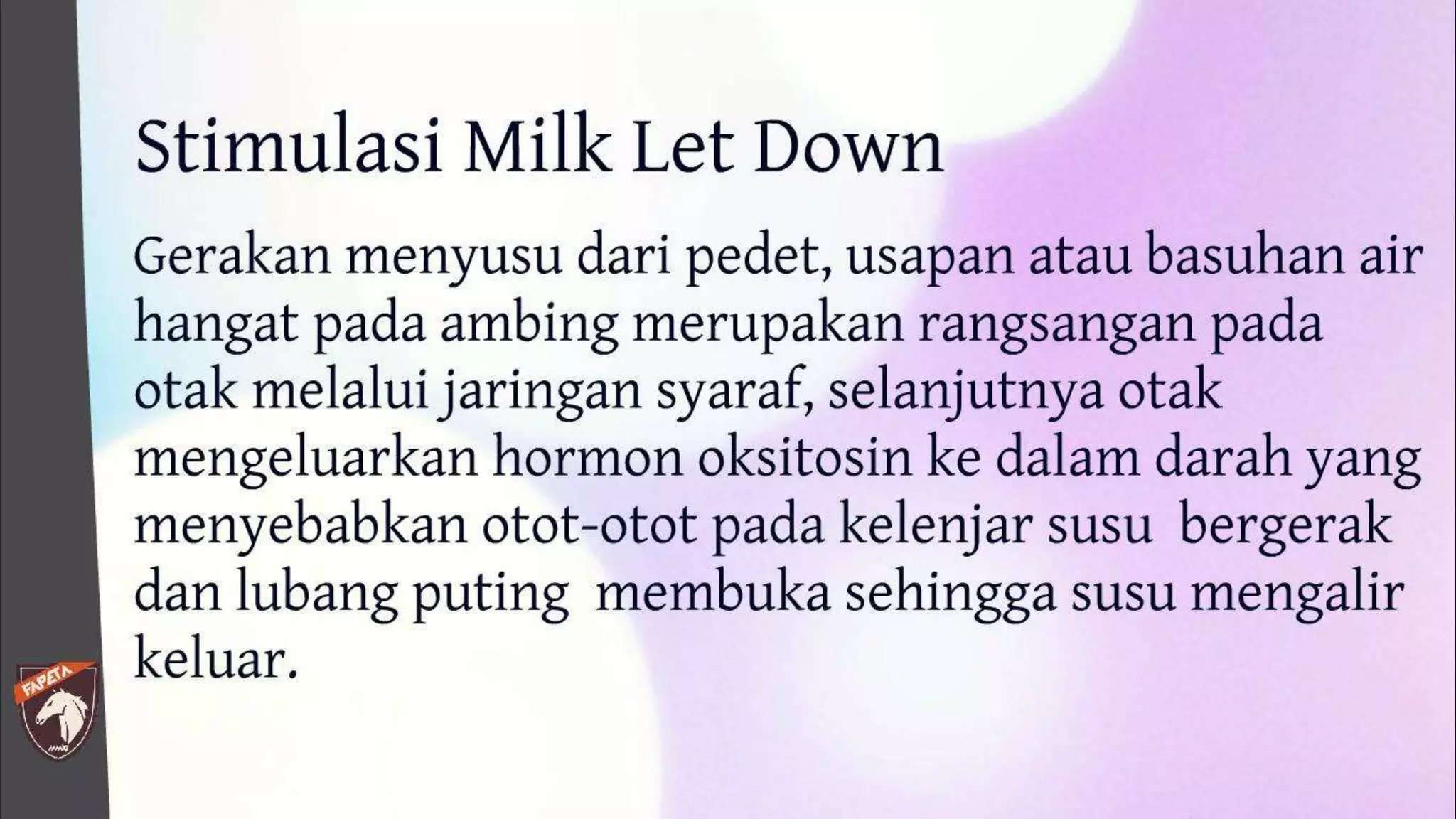 Pemeliharaan sapi perah laktasi dan kering kandang | PDF