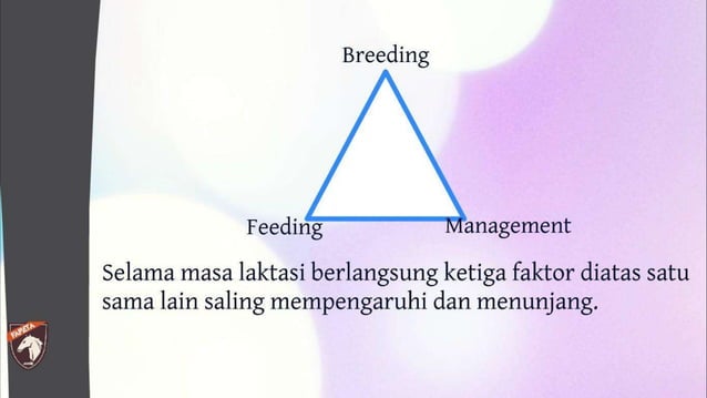 Pemeliharaan sapi perah laktasi dan kering kandang | PDF