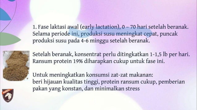 Pemeliharaan sapi perah laktasi dan kering kandang | PDF