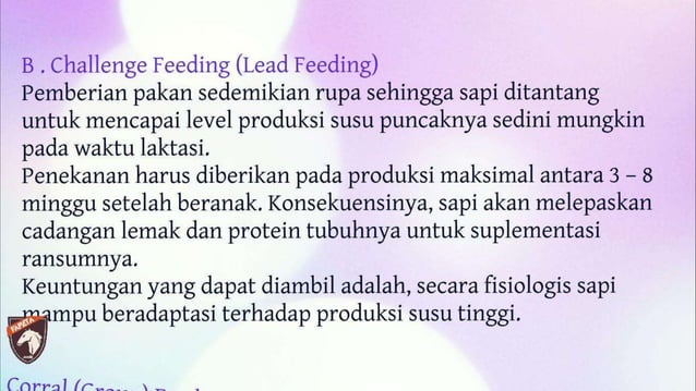 Pemeliharaan sapi perah laktasi dan kering kandang | PDF