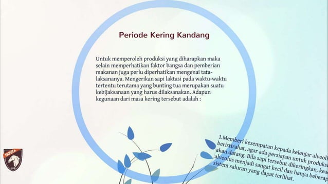 Pemeliharaan sapi perah laktasi dan kering kandang | PDF