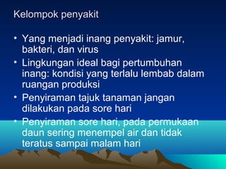 Pemeliharaan tanaman | PPT