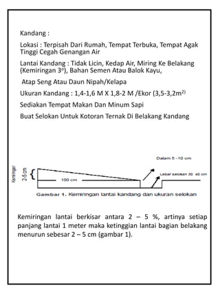 Pemeliharaan Ternak Sapi Potong | PPSX