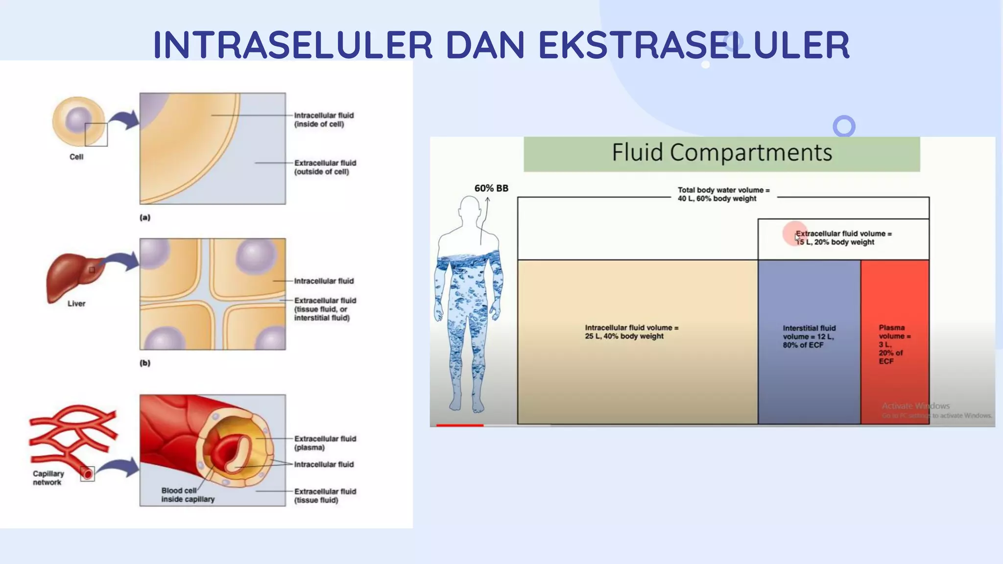 Pemenuhan kebutuhan cairan dan elektrolit | PDF
