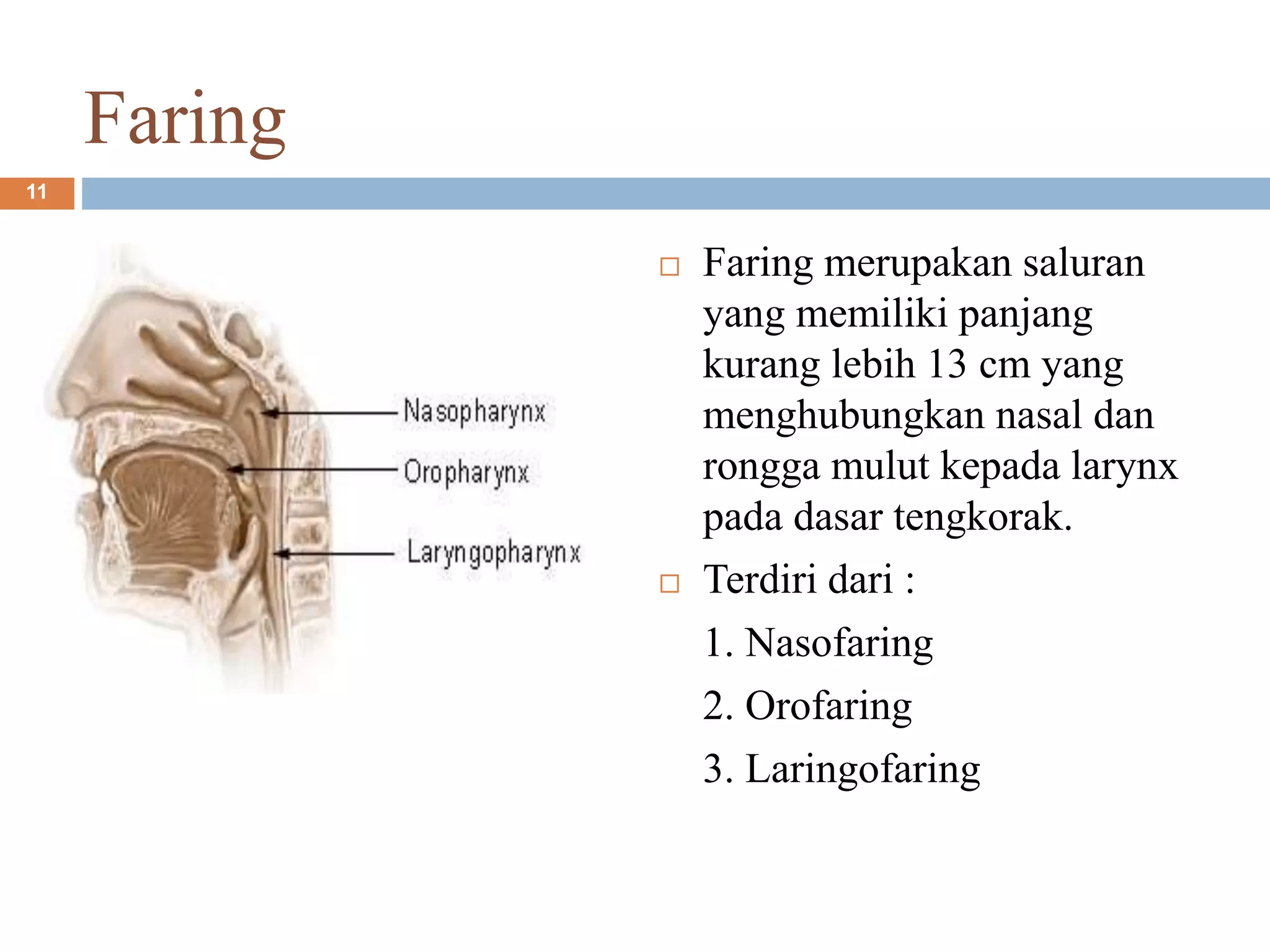PEMENUHAN KEBUTUHAN OKSIGENASI.ppt