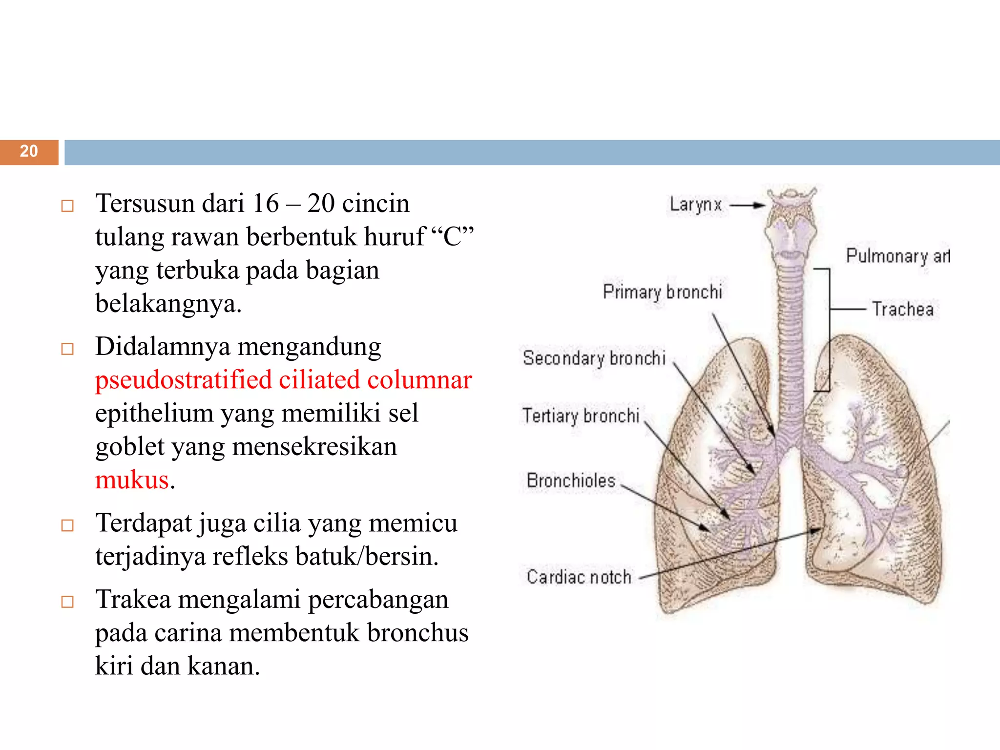 PEMENUHAN KEBUTUHAN OKSIGENASI.ppt