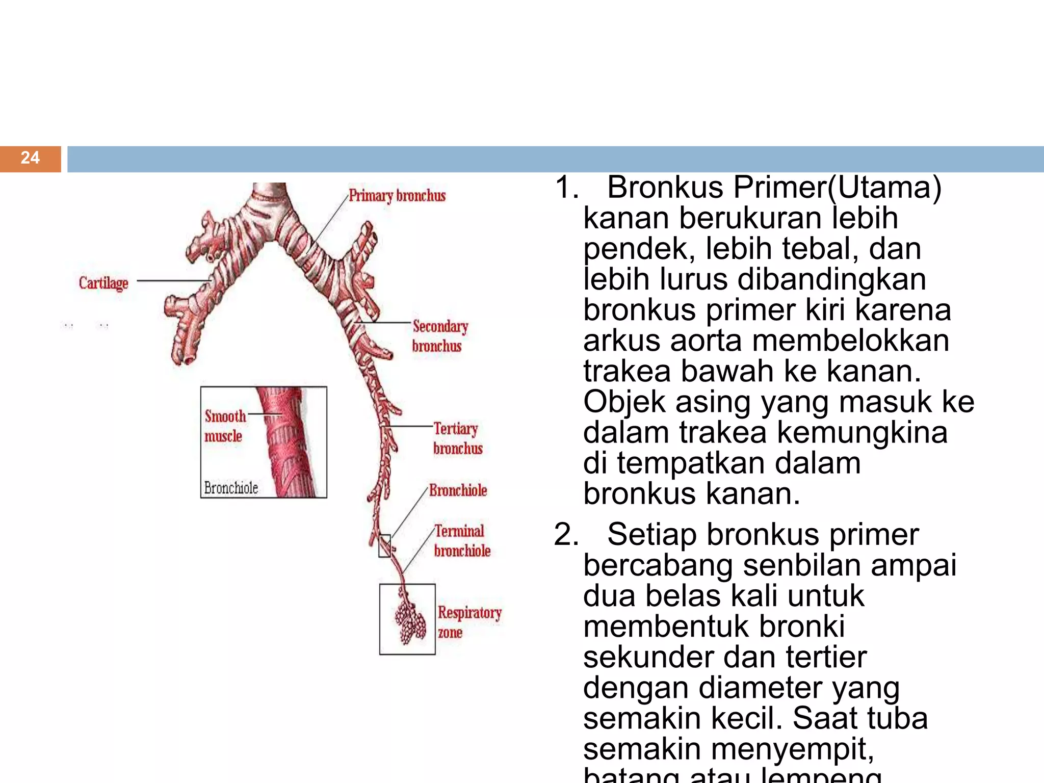 PEMENUHAN KEBUTUHAN OKSIGENASI.ppt