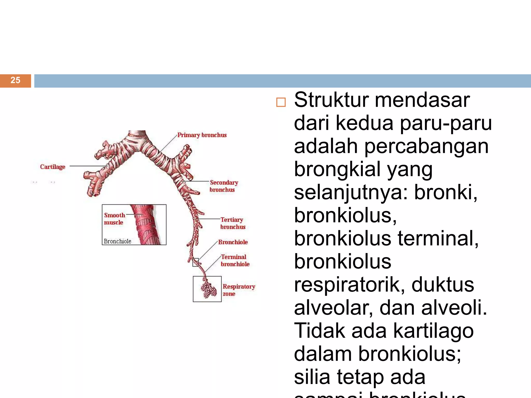 PEMENUHAN KEBUTUHAN OKSIGENASI.ppt