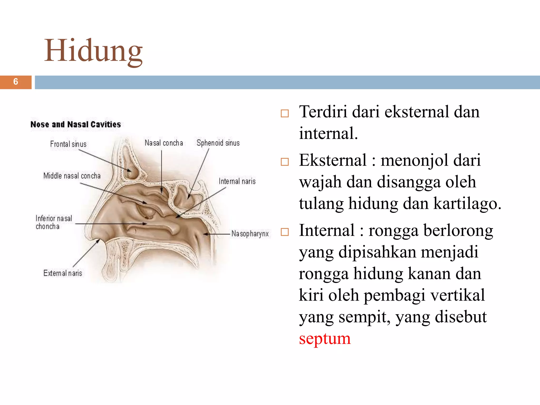 PEMENUHAN KEBUTUHAN OKSIGENASI.ppt