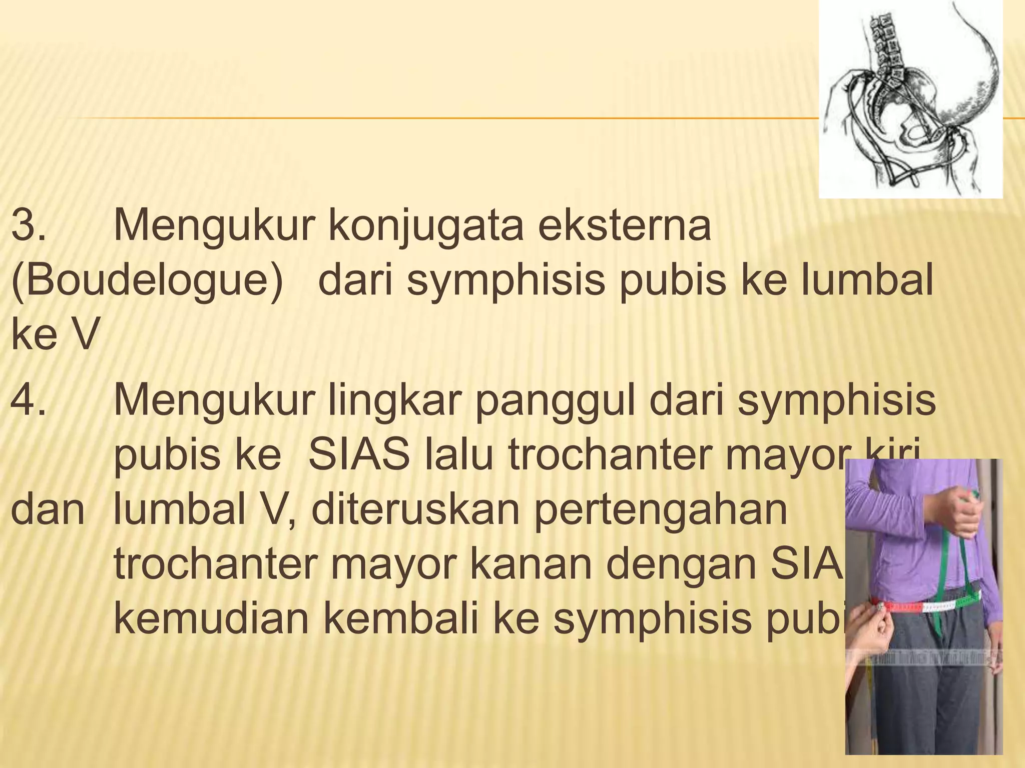 Pemeriksaan panggul luar | PPTX