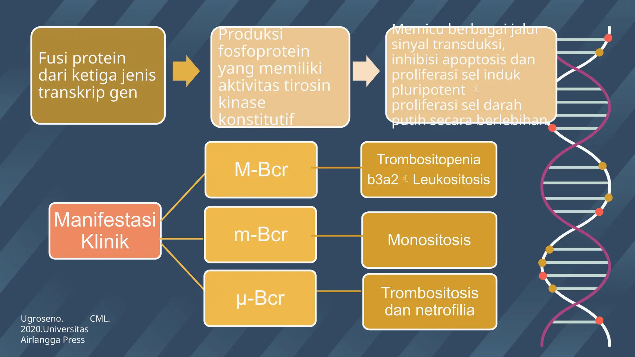 Pemeriksaan BCR ABL Untuk Diagnosis Chronic Myelocytic/Granulocytic Leukimia.pptx