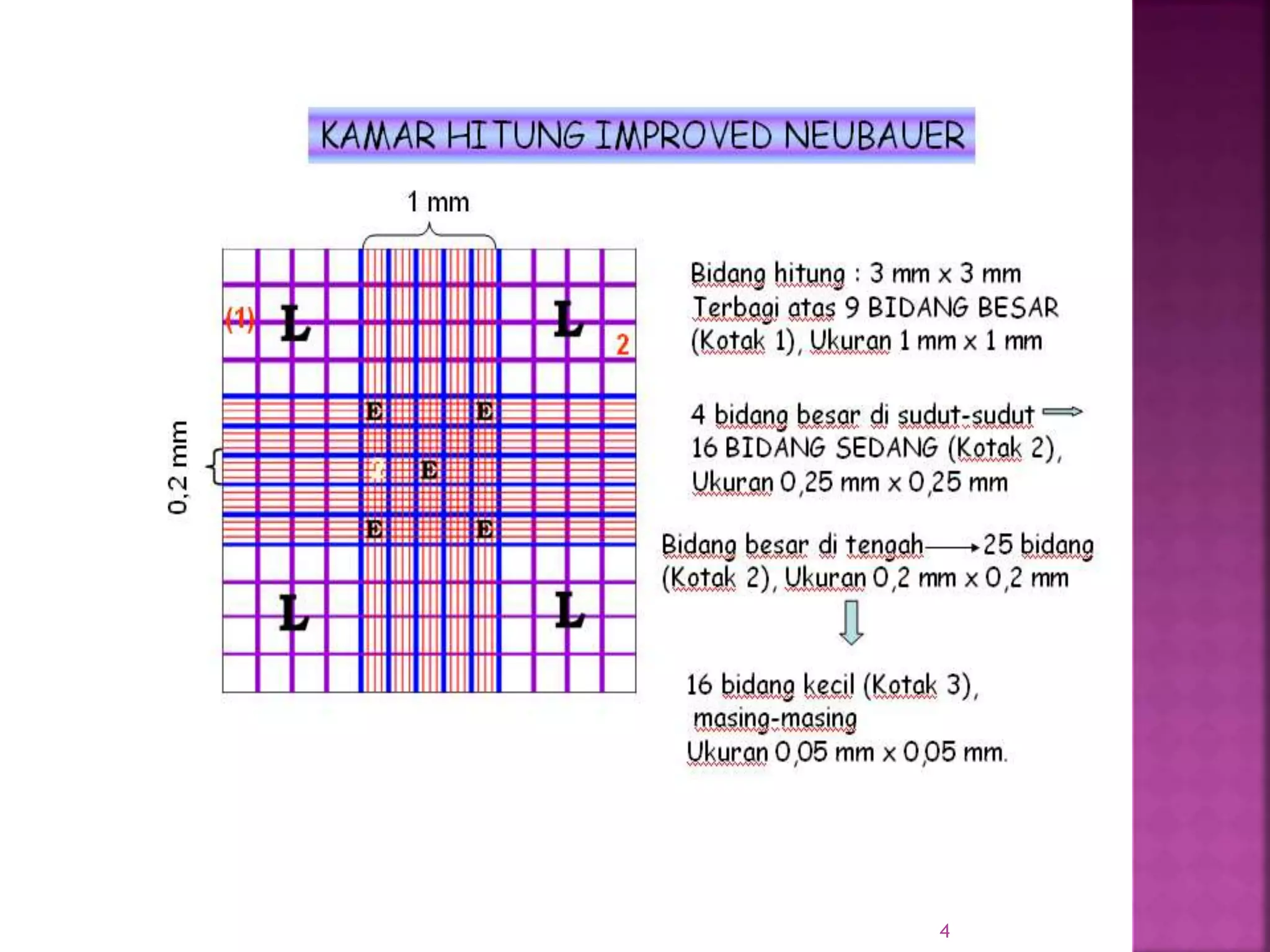 Pemeriksaan cairan pleura | PPTX
