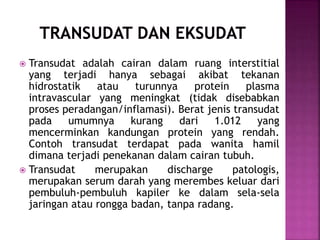 Pemeriksaan cairan pleura | PPTX