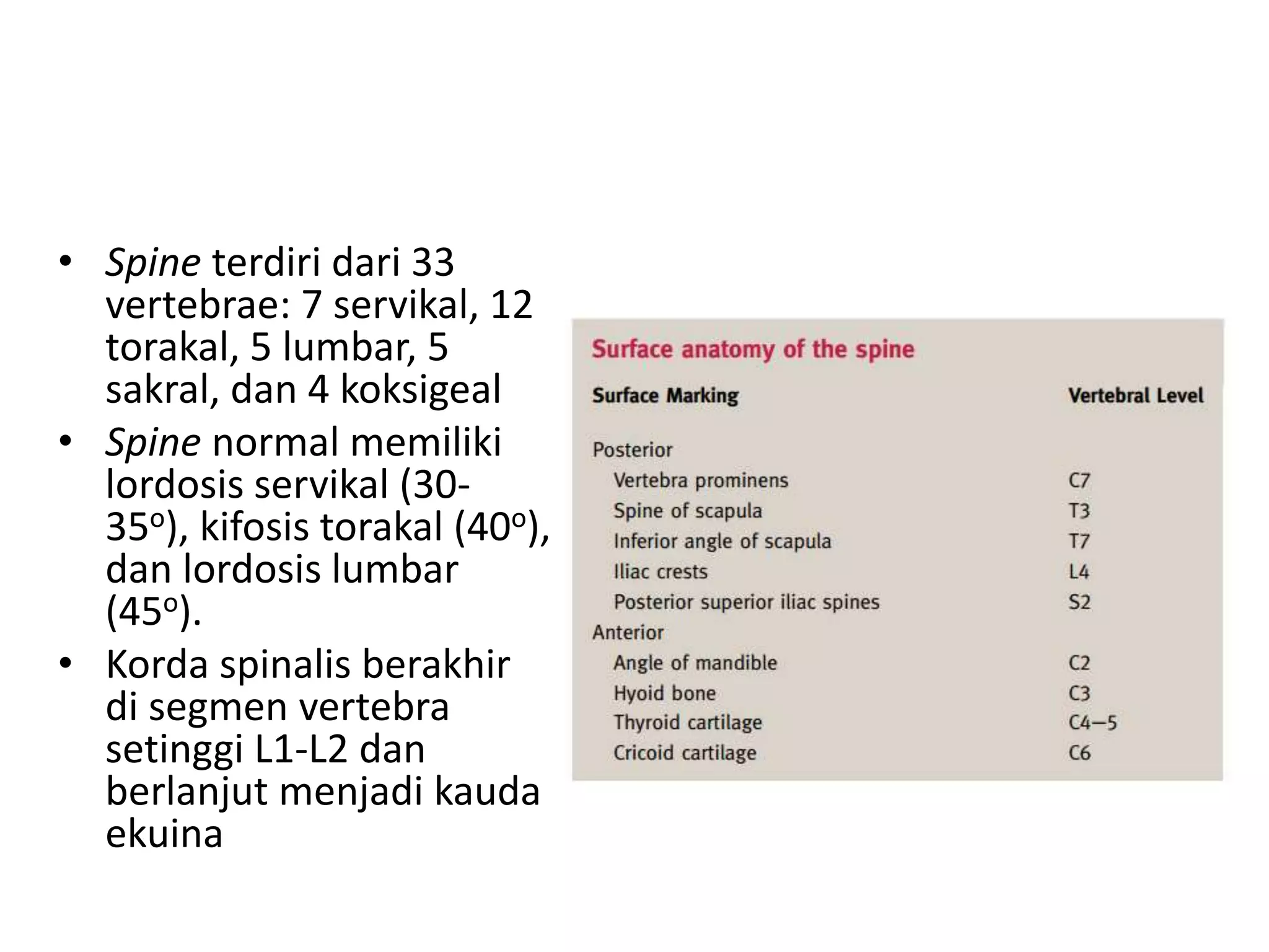 Pemeriksaan Columna Vertebralis dan Fungsi Luhur.pptx