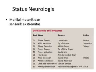 Pemeriksaan Columna Vertebralis dan Fungsi Luhur.pptx