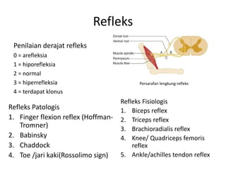 Pemeriksaan Columna Vertebralis dan Fungsi Luhur.pptx